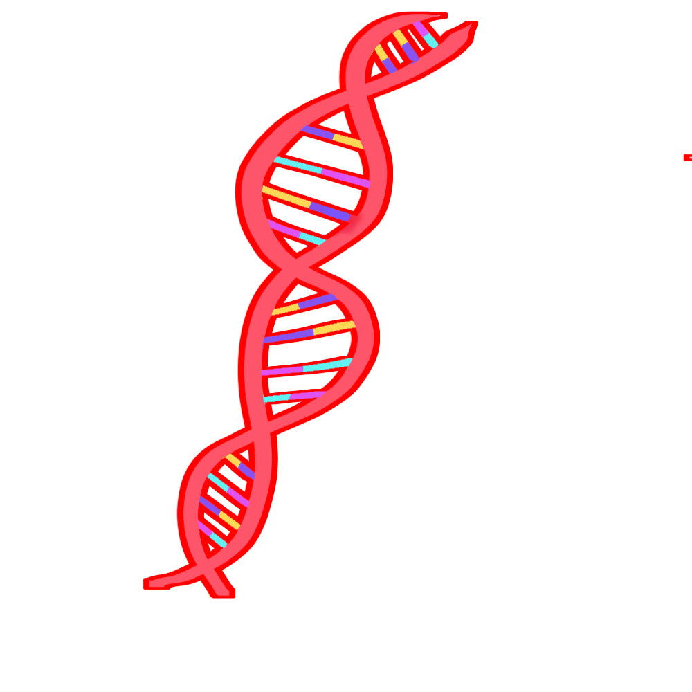 SciDraw Scientific Drawings