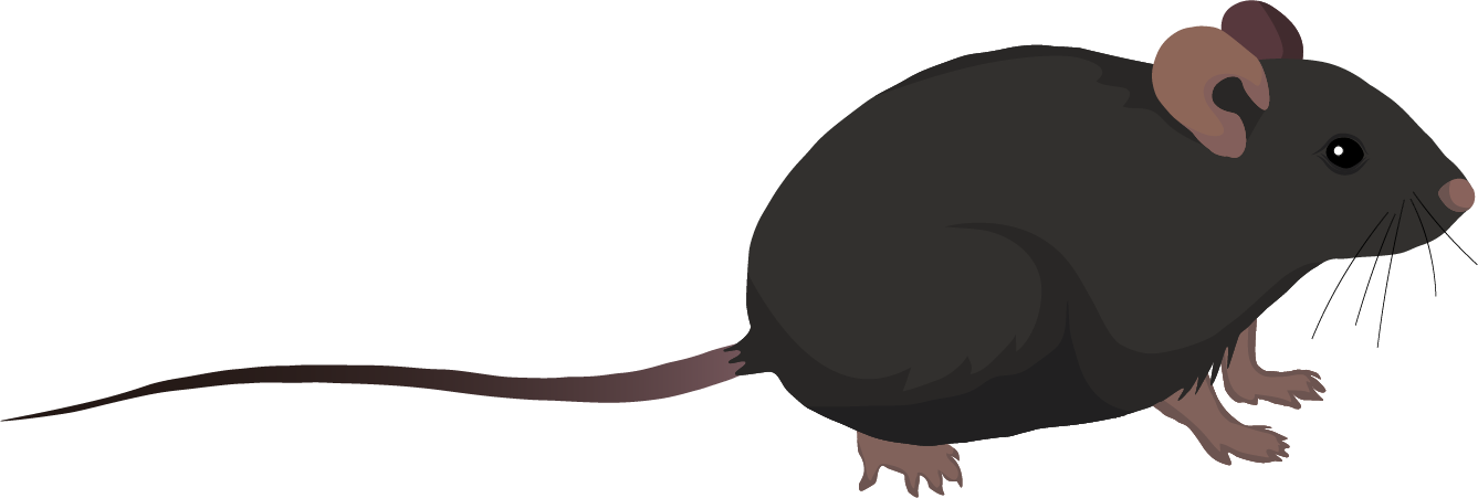 SciDraw | Scientific Drawings