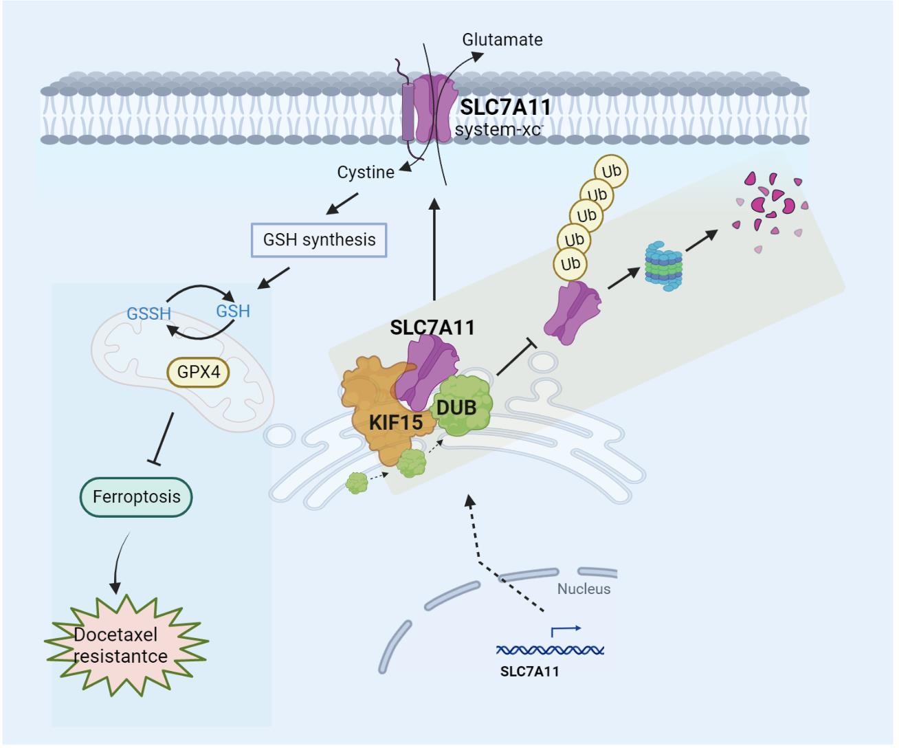 SciDraw | Scientific Drawings